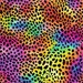 Gorgeous Rainbow Cheetah Print Set of 10 |seamless Patterns |instant ...