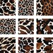 Brown Leopard Print Set of 12 |seamless Patterns |instant Download ...