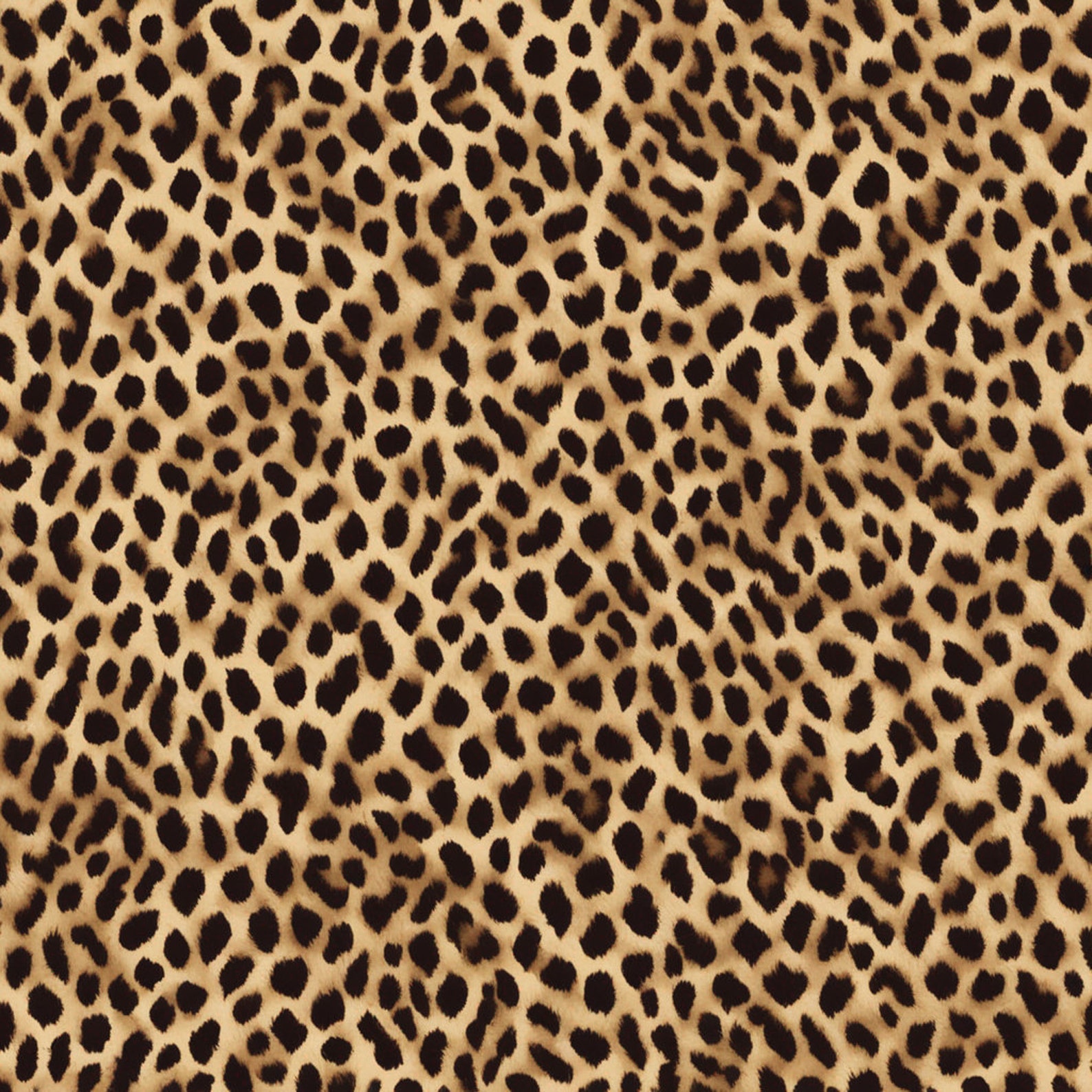 Brown Leopard Print Set of 12 |seamless Patterns |instant Download ...