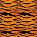 Tiger Skin Set of 10+ |seamless Patterns |instant Download | Printable ...