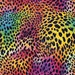 Gorgeous Rainbow Cheetah Print Set of 10 |seamless Patterns |instant ...