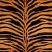 Tiger Skin Set of 10+ |seamless Patterns |instant Download | Printable ...
