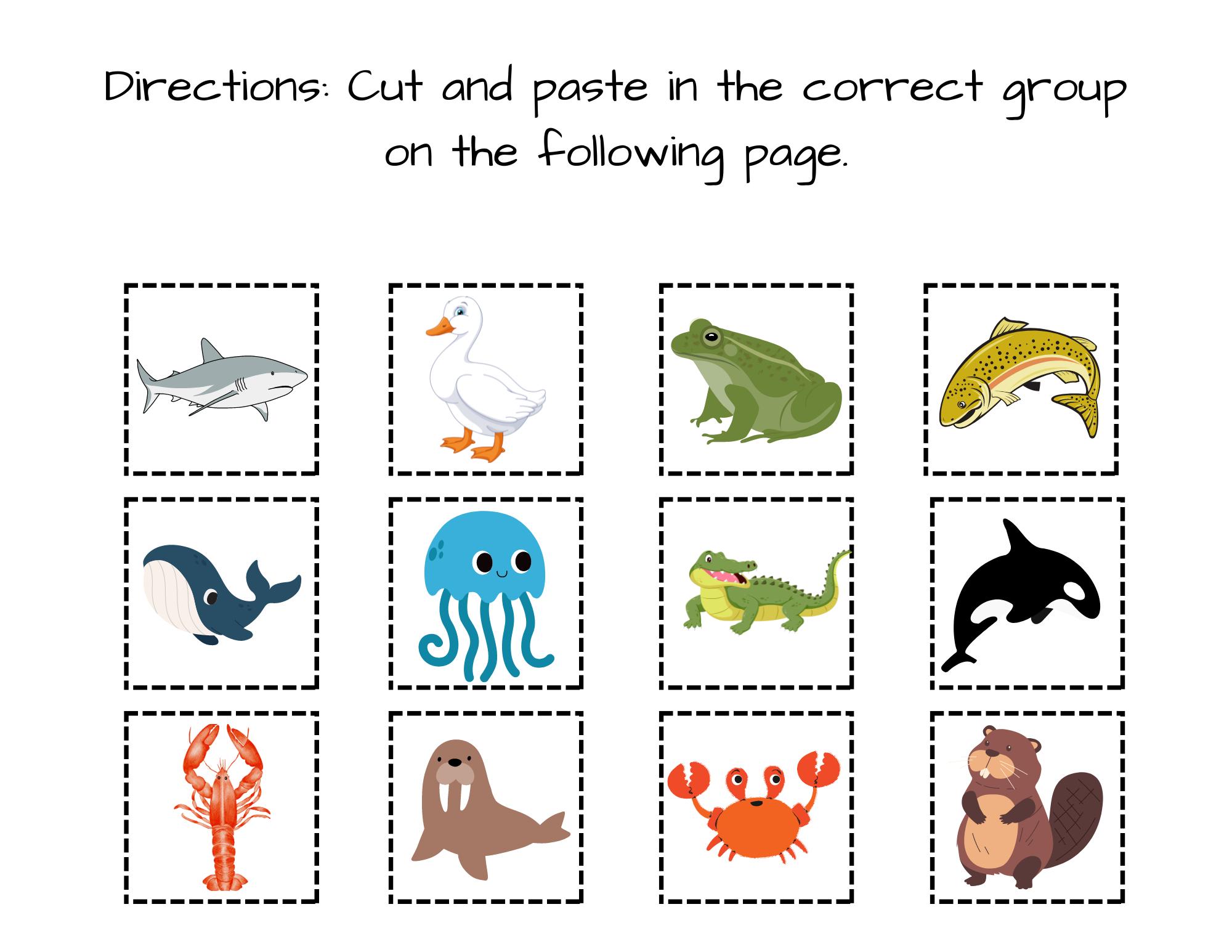 Freshwater Vs Saltwater Cut and Paste Worksheet - Etsy