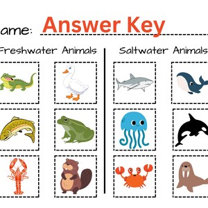 Freshwater Vs Saltwater Cut and Paste Worksheet - Etsy