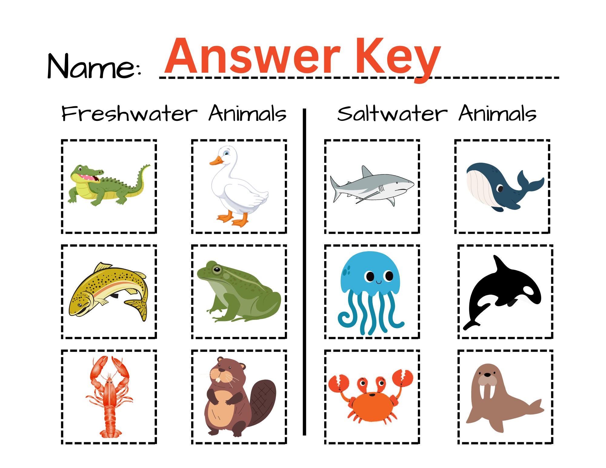 Freshwater Vs Saltwater Cut and Paste Worksheet - Etsy