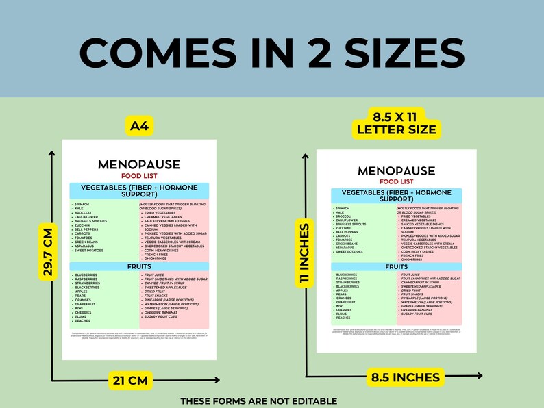 Printable Menopause Food List PDF, Diet Journal, Perimenopause Meal ...