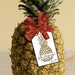 Pineapple Gift Tag, Melekalikimaka Gift, Christmas Tag, Holiday Tag ...