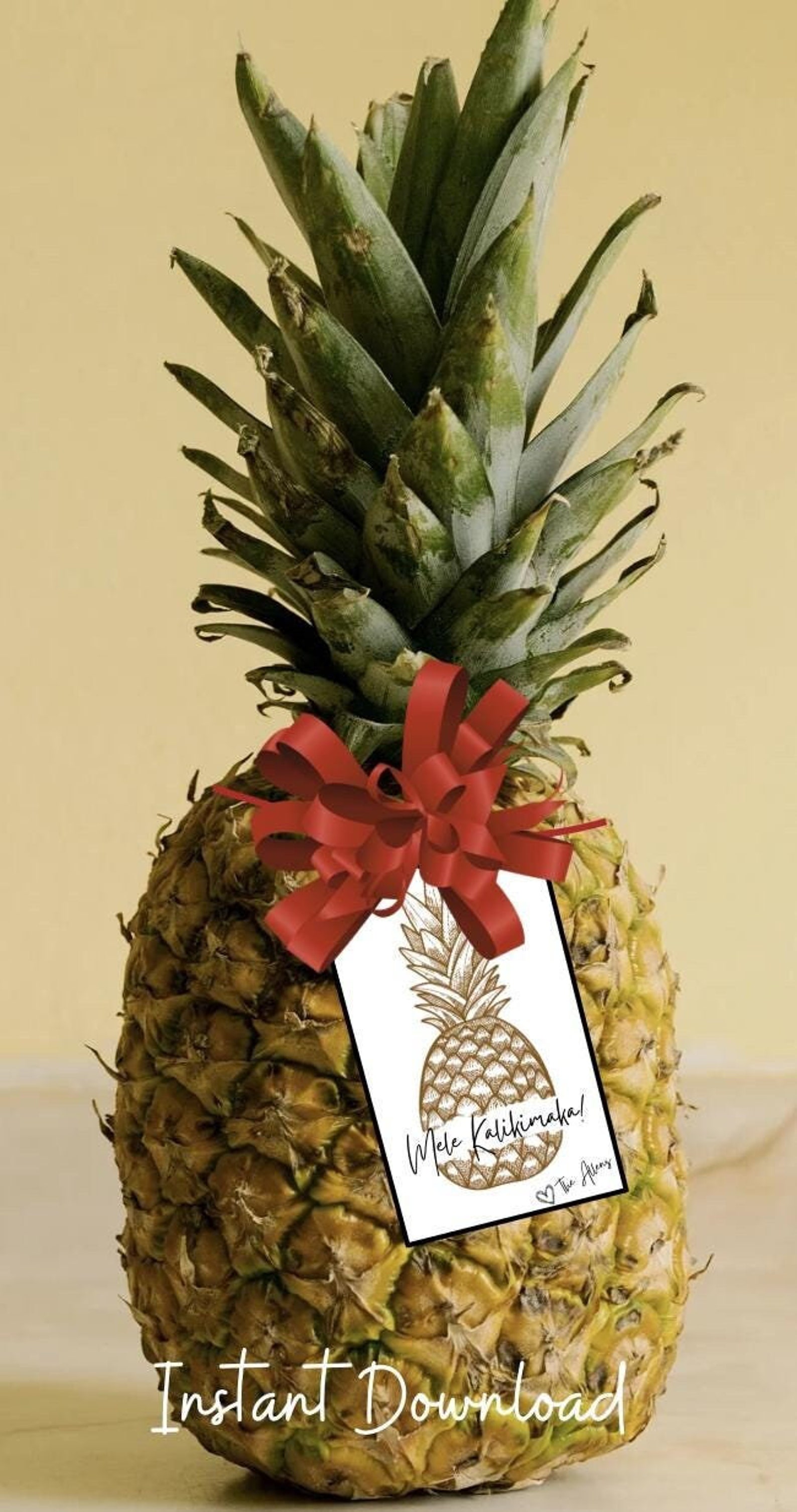 Pineapple Gift Tag, Melekalikimaka Gift, Christmas Tag, Holiday Tag ...