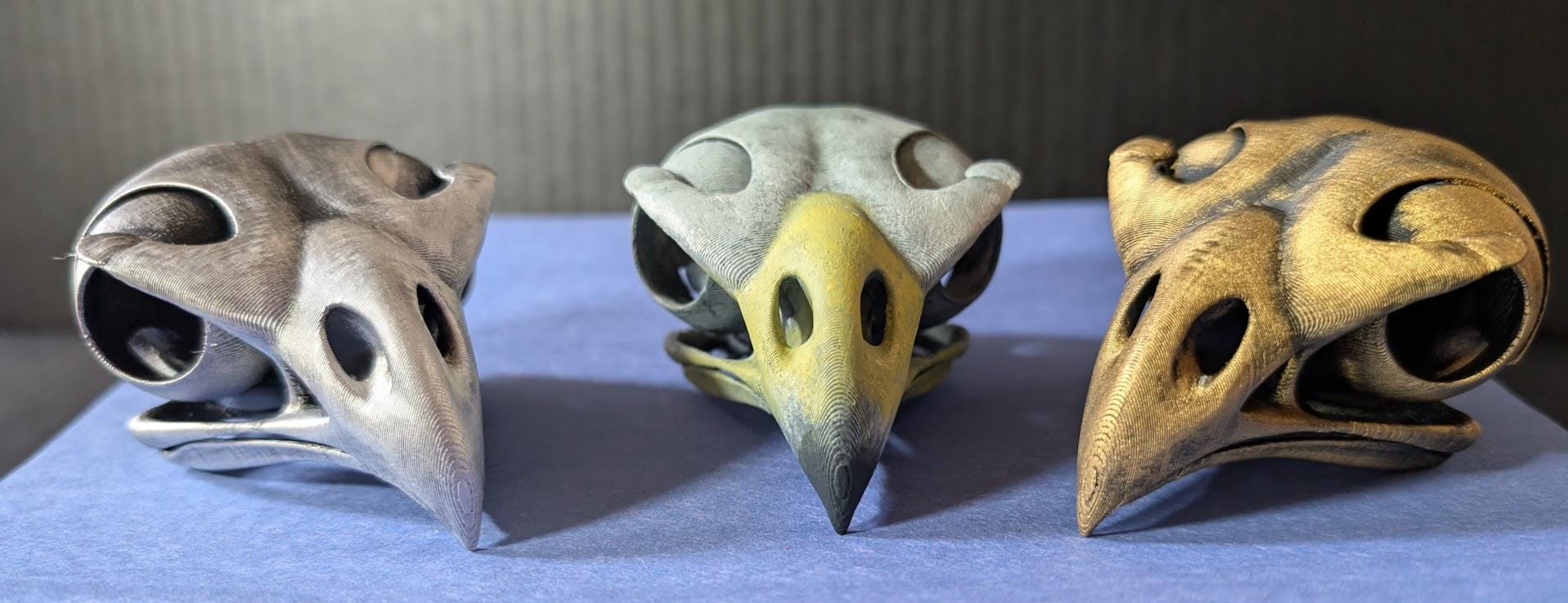 Hand-painted Red-tailed Hawk Skull Replica – Falconry Decor - Etsy