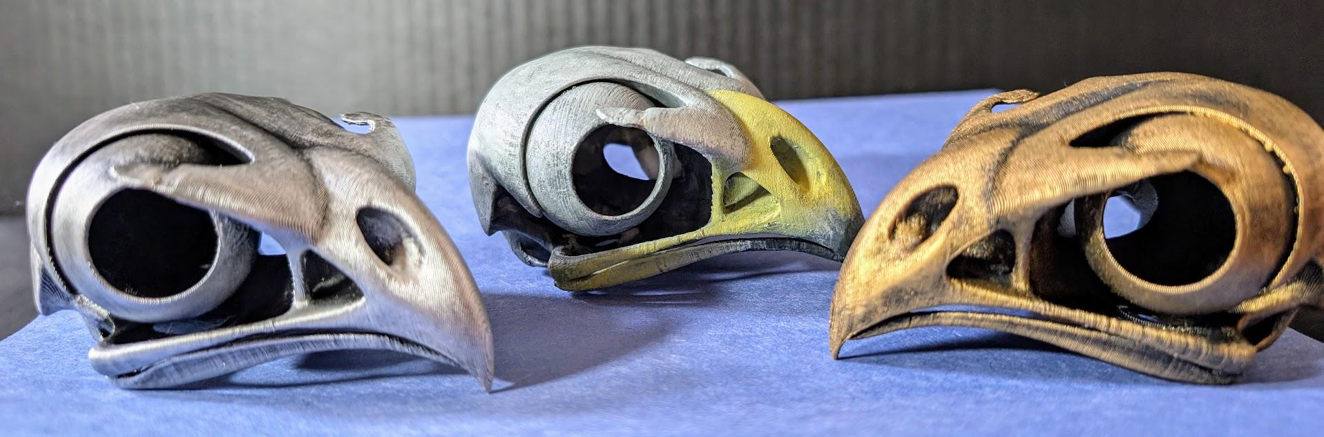 Hand-painted Red-tailed Hawk Skull Replica – Falconry Decor - Etsy