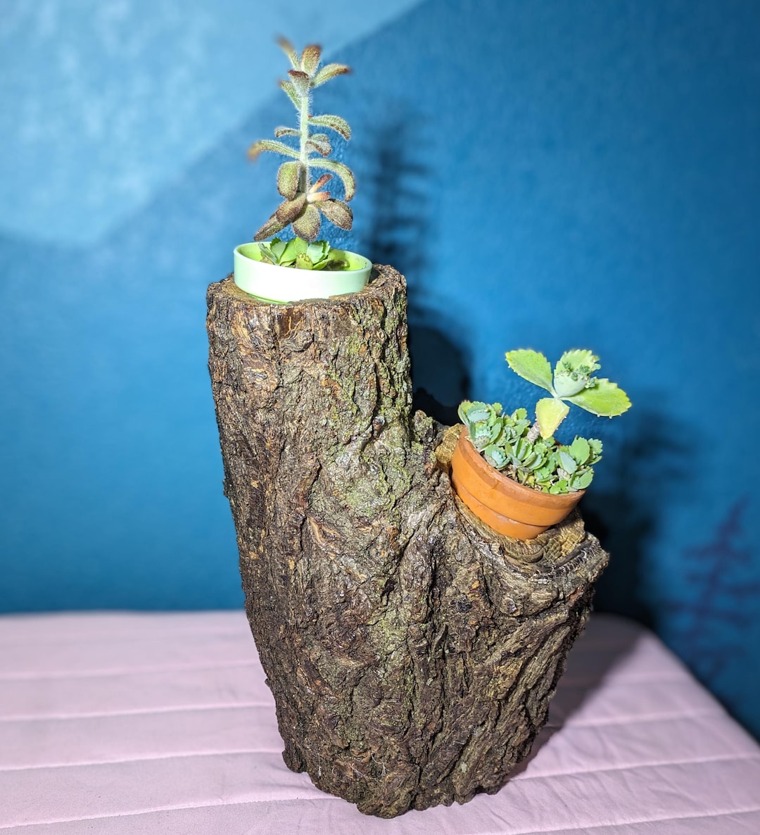 Live Edge Rustic Plant Stand - Etsy