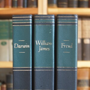 Nine Matched Volumes From the "great Books" Collection Published by ...