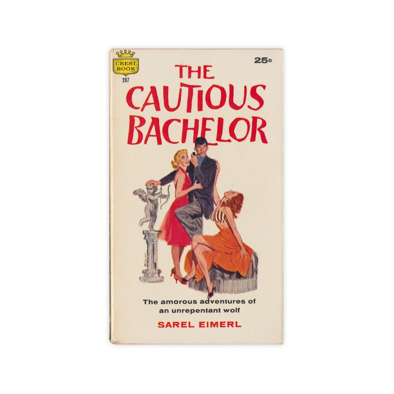 The Cautious Bachelor - Vintage Paperback Novel by Sarel Eimerl From ...