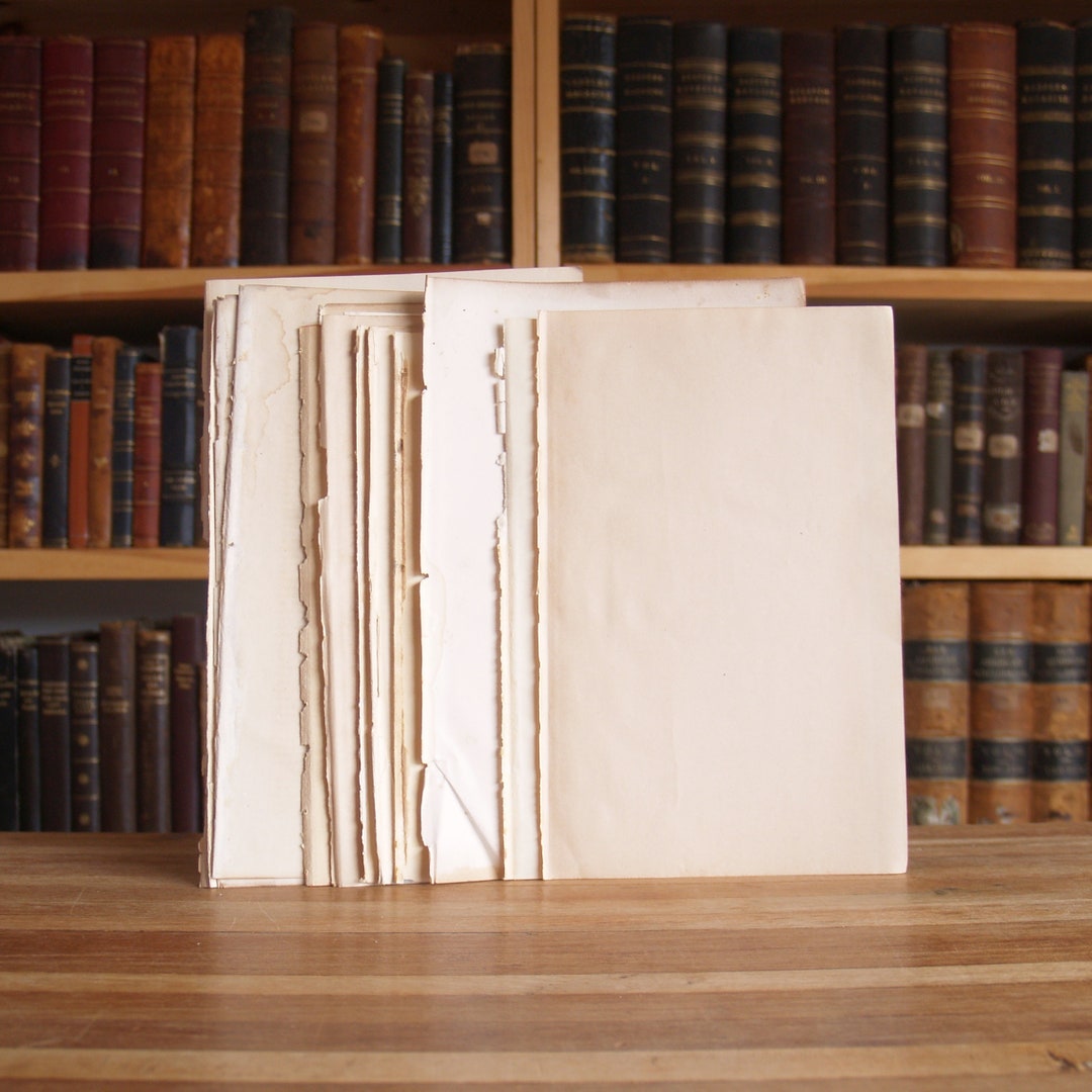 Fifteen Blank Sheets of Antique Paper Saved From Disbound Books, Approx ...