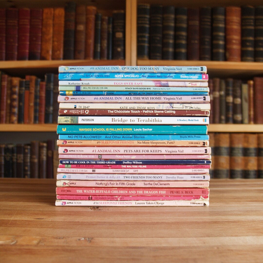Collection of 21 Vintage Children's Chapter Books From the 80s and 90s ...