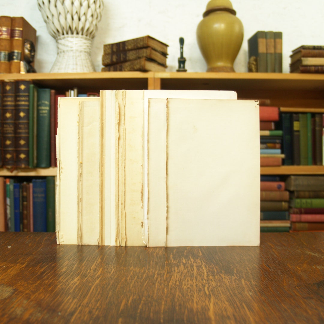 Fifteen Blank Sheets of Antique Paper Saved From Disbound Books, Approx ...