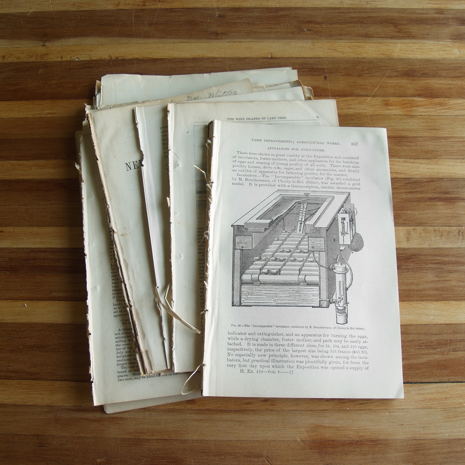 Bulk Lots of Antique Paper Saved From Disbound Books Free US - Etsy