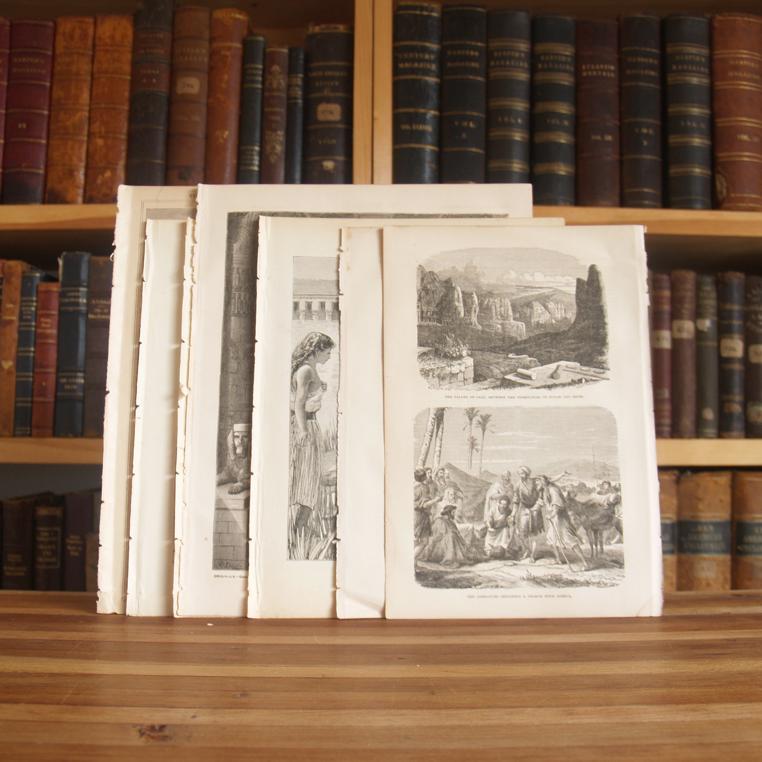 Collection of Nine Original Prints From Various Disbound Antique ...