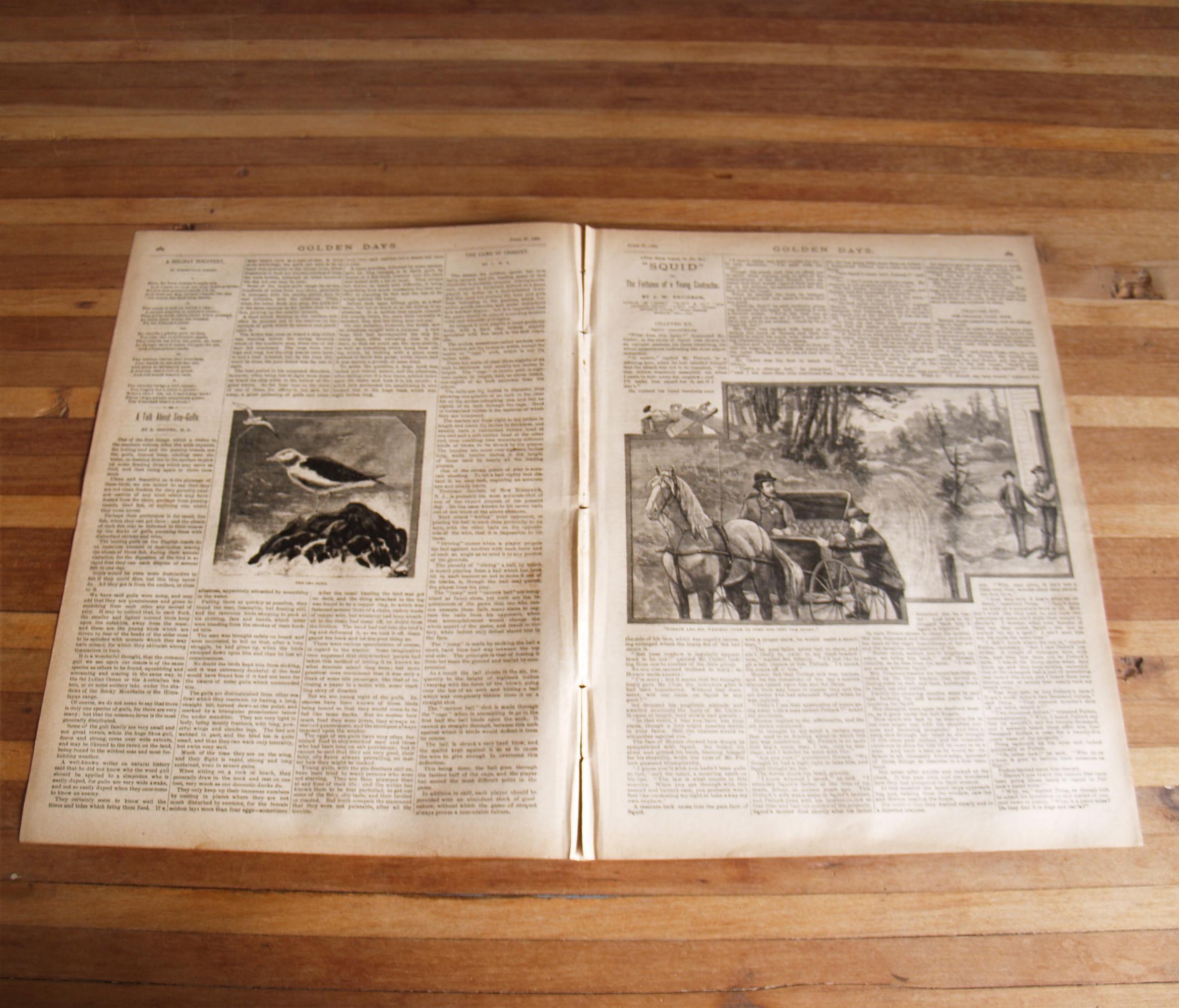 Four Antique Issues of Golden Days Children's Magazine From the 1890s ...