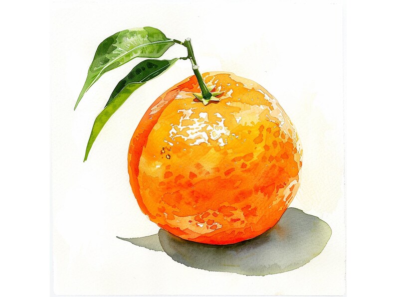 Oranges Watercolor Clipart Bundle Images of Refreshing Summer Orange ...