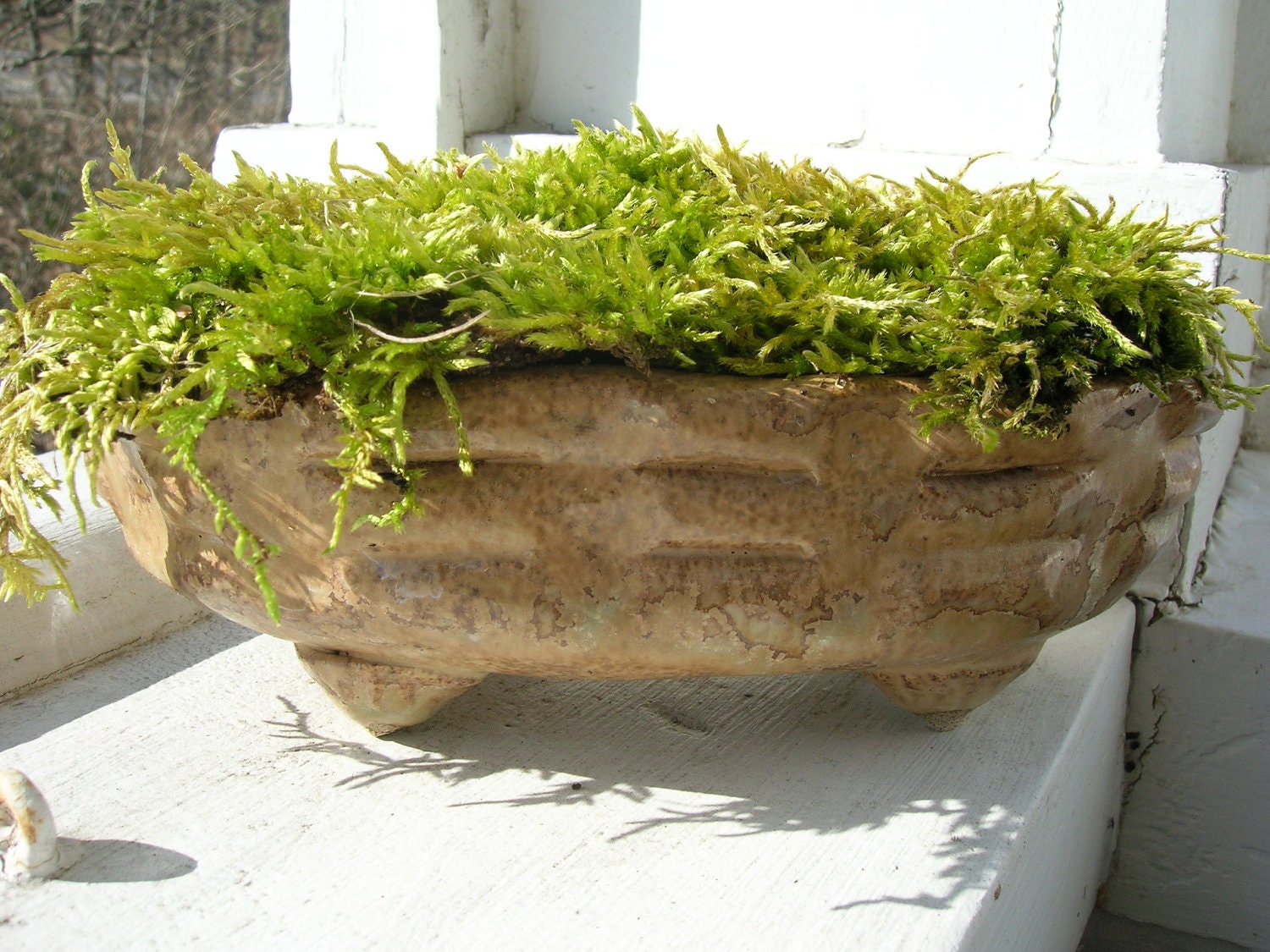 Hand Built Windowsill Moss Pot - Etsy