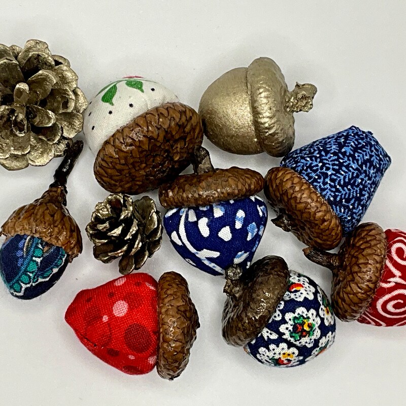 Real Acorn - Etsy