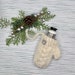 Mini Mitten Ornament, Gift Tag, Holiday Decor, Christmas Gift, Gift ...