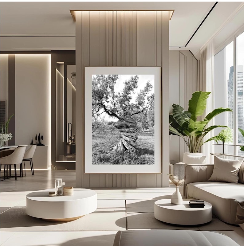 Twisted Olive Tree Black and White Photo Print: Botanical Wall Art ...