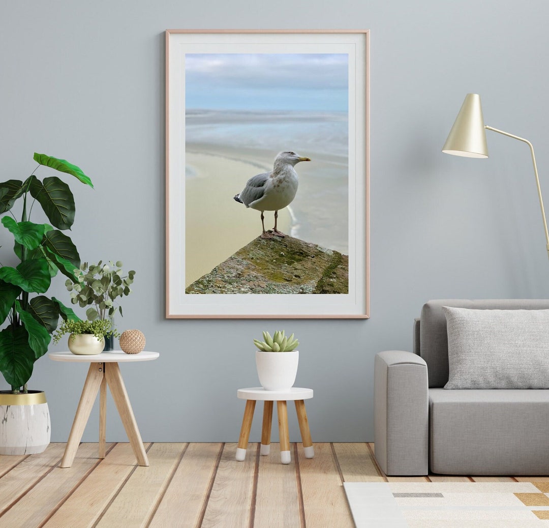 European Herring Gull Printable, Funny Gull Photo Printable, Seagull at ...