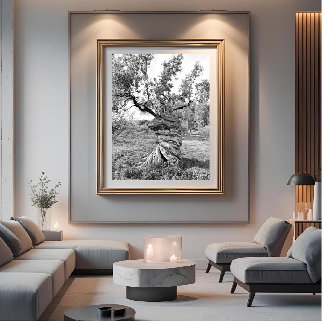 Twisted Olive Tree Black and White Photo Print: Botanical Wall Art ...