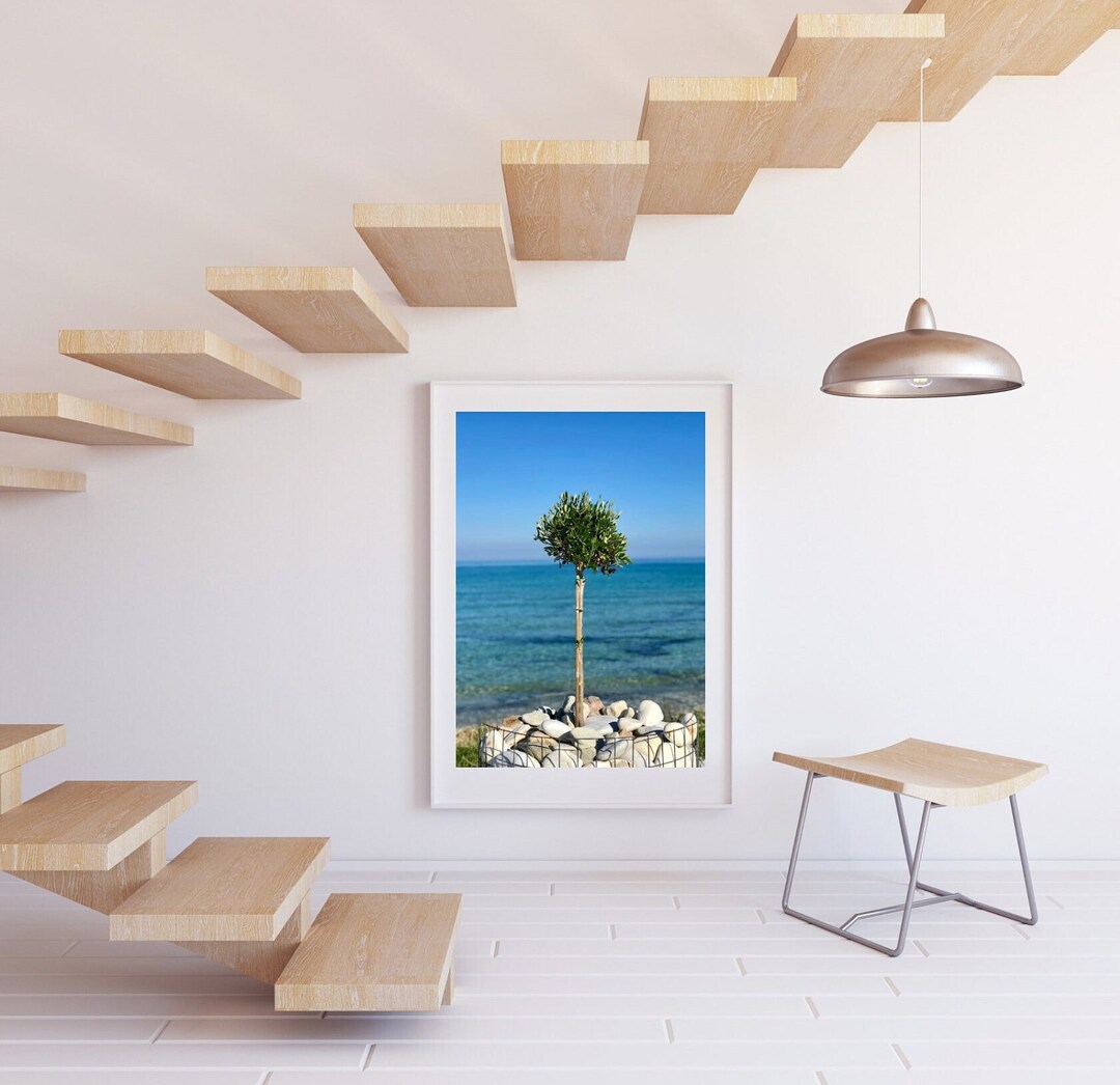 Olive Tree Coastal Art Printable, Botanical Olive Tree Sapling ...
