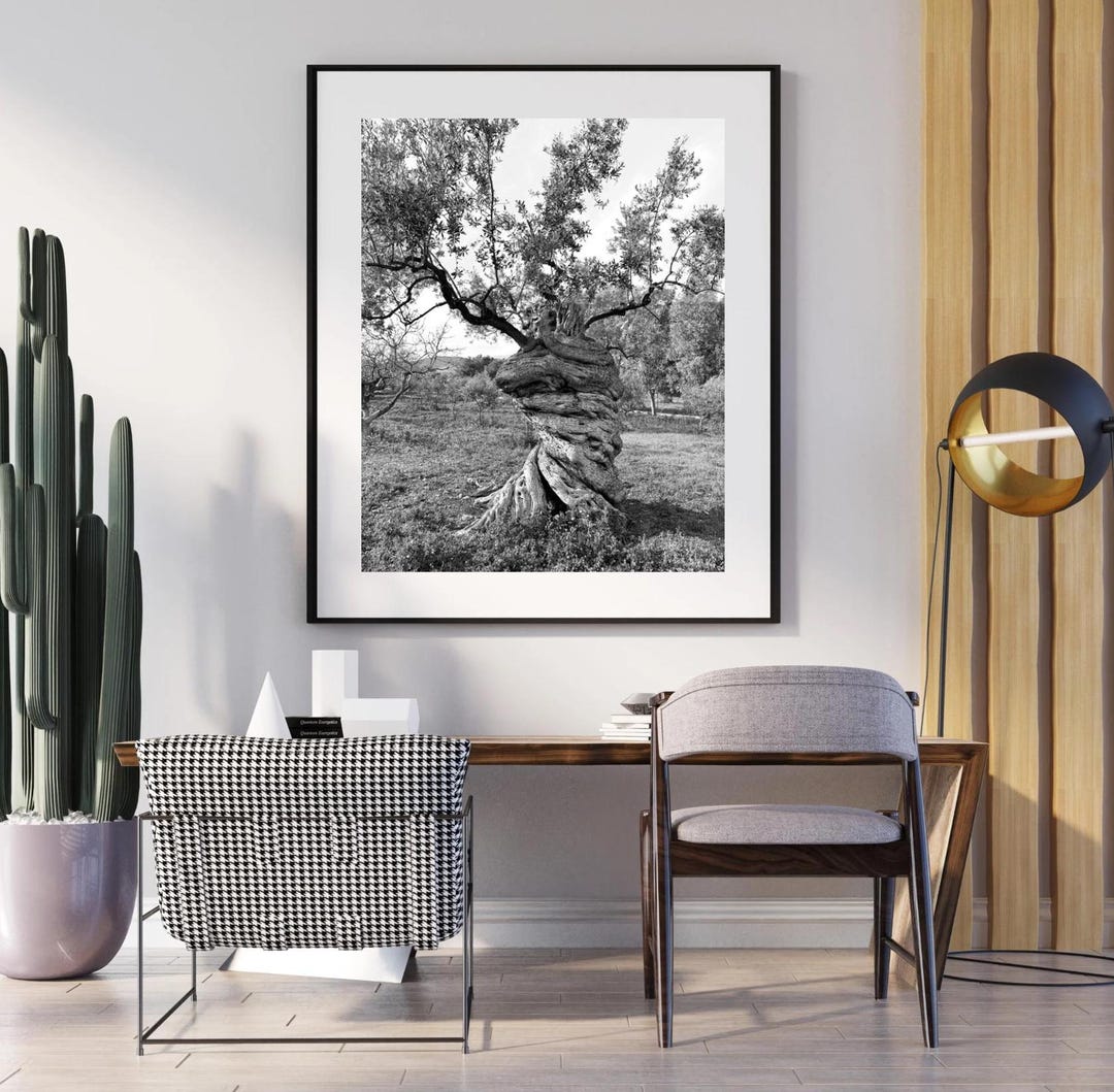 Twisted Olive Tree Black and White Photo Print, Black and White Artful ...