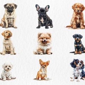 Puppies Breeds Watercolor Clipart Bundle, Dog Breeds Digital Png ...