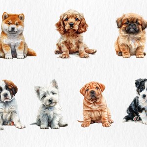 Puppies Breeds Watercolor Clipart Bundle, Dog Breeds Digital Png ...