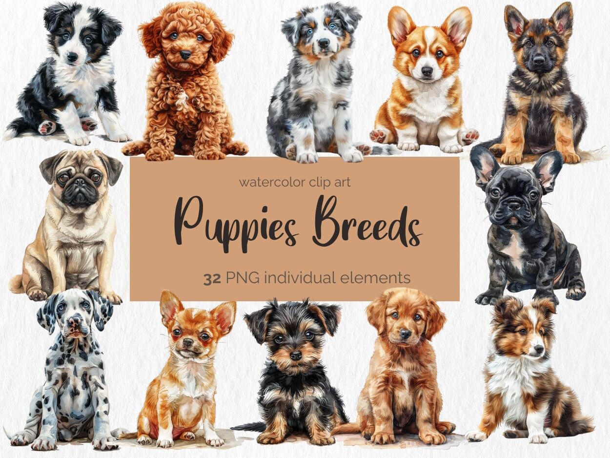 Puppies Breeds Watercolor Clipart Bundle, Dog Breeds Digital Png ...