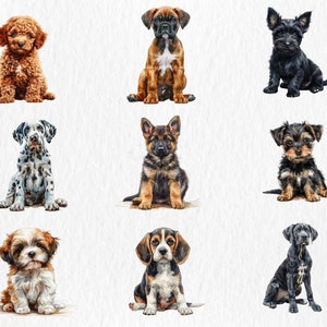 Puppies Breeds Watercolor Clipart Bundle, Dog Breeds Digital Png ...