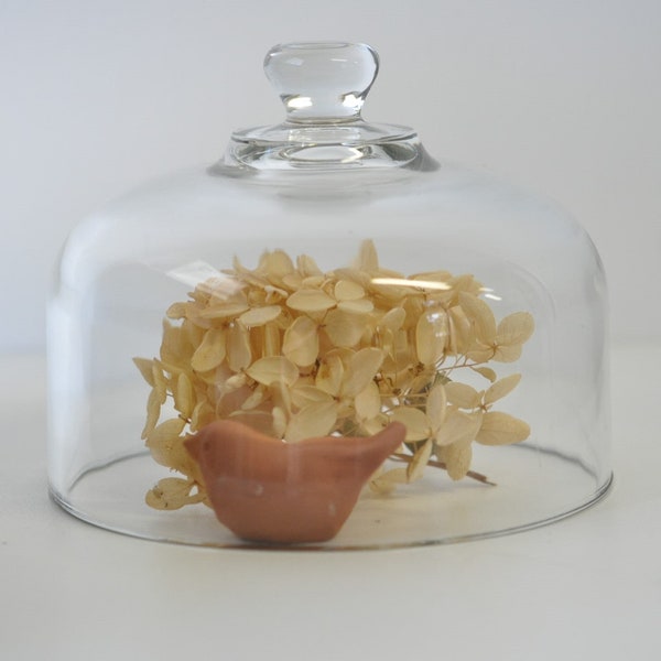 Cheese Cloche - Etsy