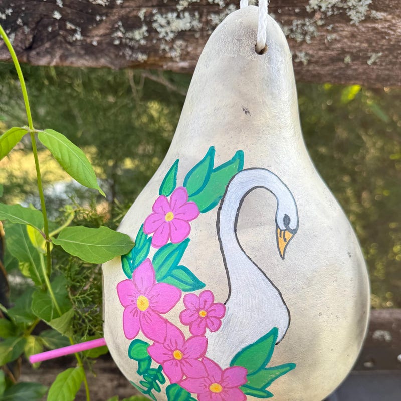 Swan Gourd - Etsy