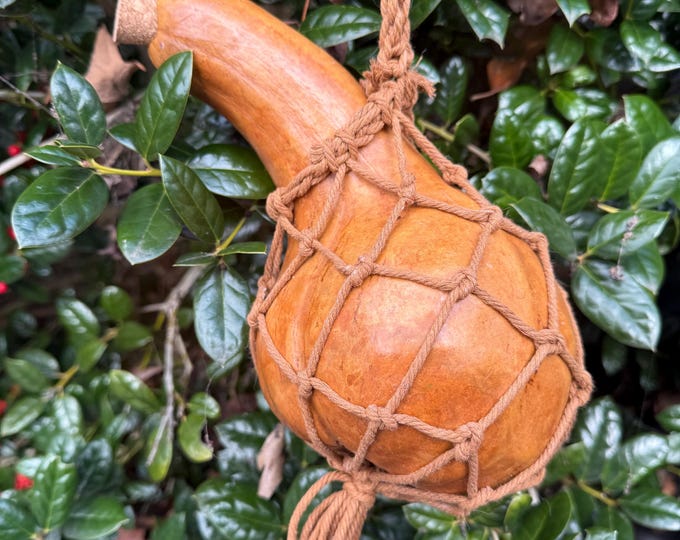 Gourd Water Bottle. Holds 1 Liter of Water - Etsy