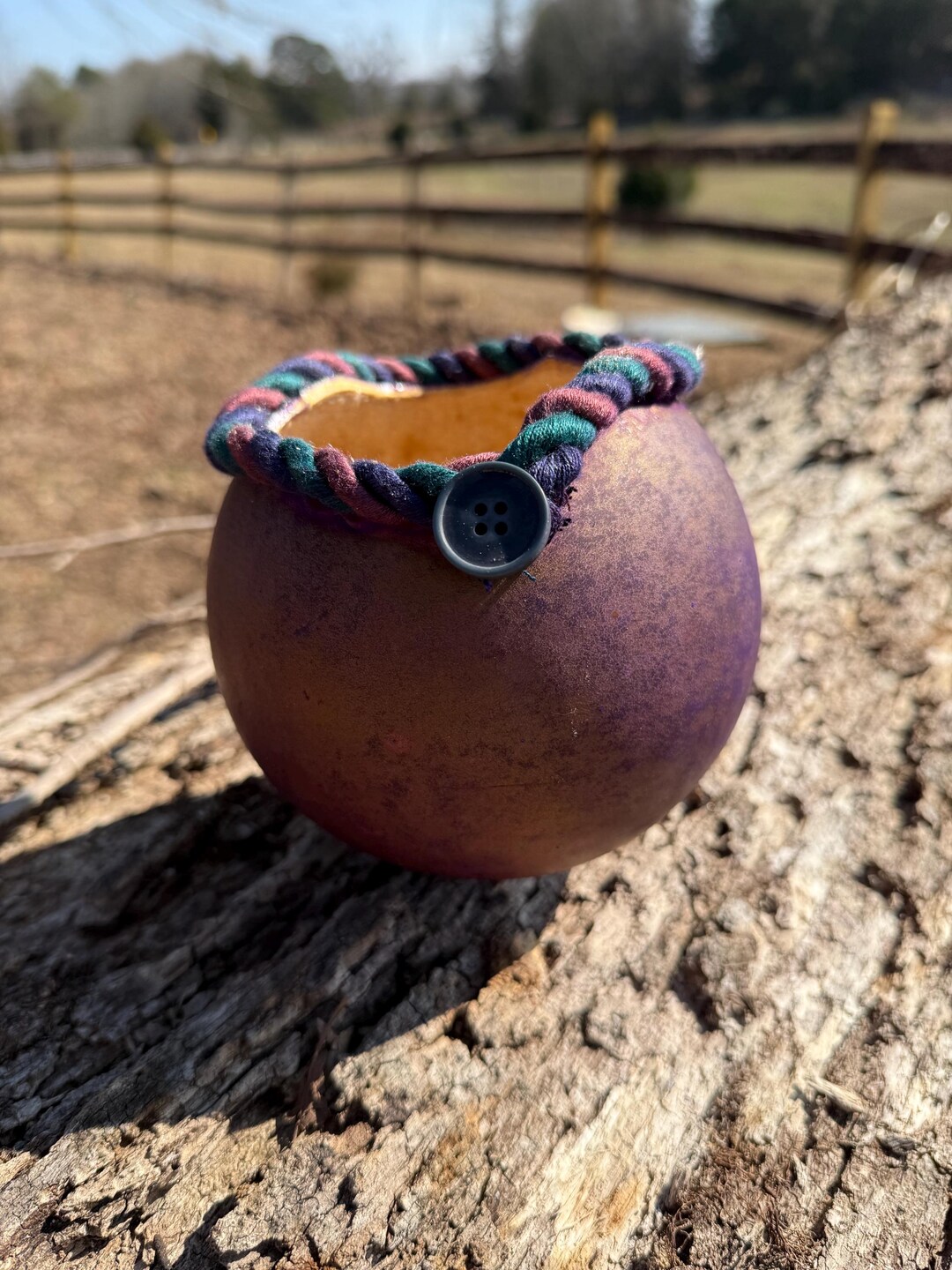 Gourd Planter 17” Circumference. 5” Height - Etsy