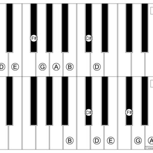 Piano Complete Scales Bundle - Etsy