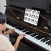 Piano Complete Scales Bundle - Etsy