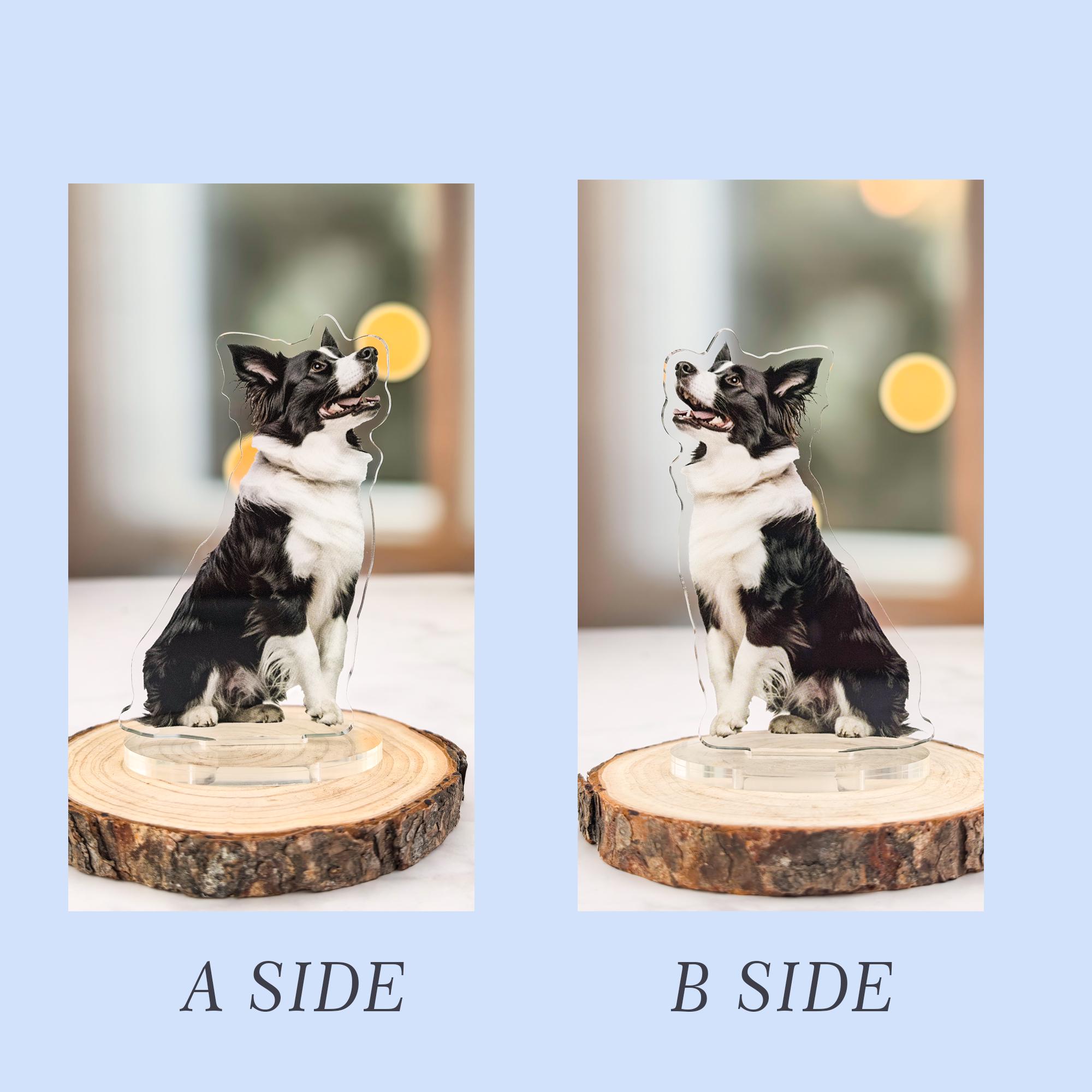 Custom Pet Photo Acrylic Standee, Personalized Dog Cat Portrait - Etsy
