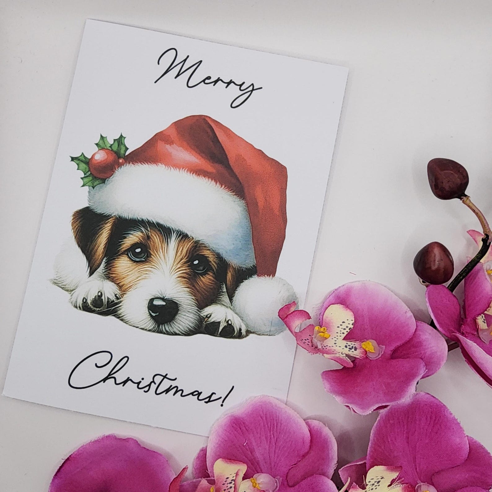 Jack Russel Terrier Christmas Card. Dog Lovers Christmas Card ...