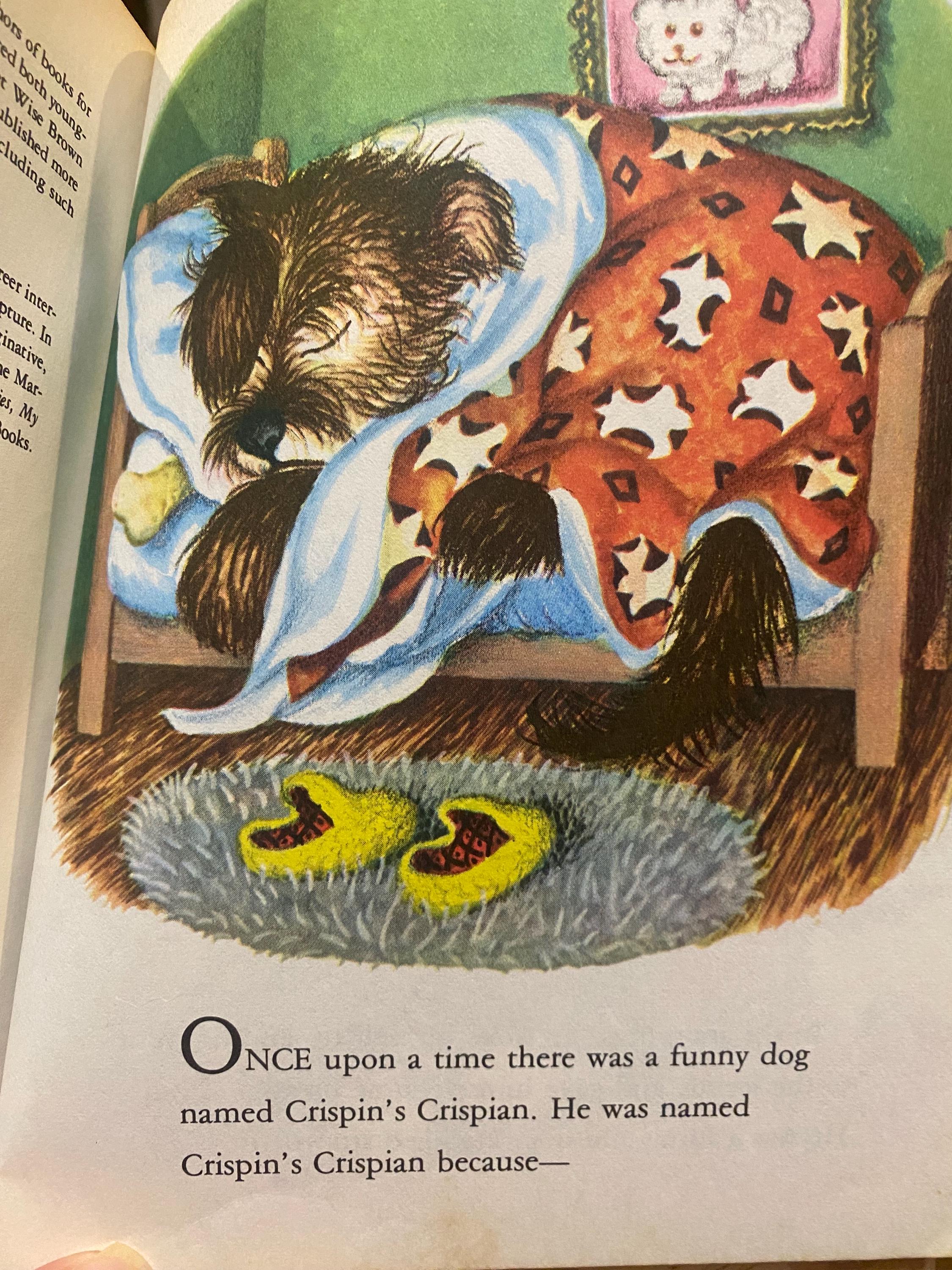 Mister Dog Little Golden Book - Etsy