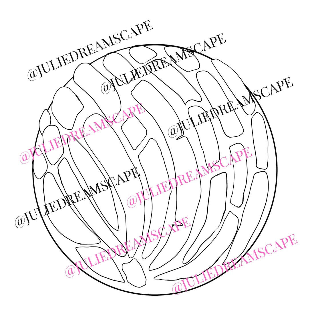 Original Concha Drawing Bundle SVG/PNG/JPEG - Etsy