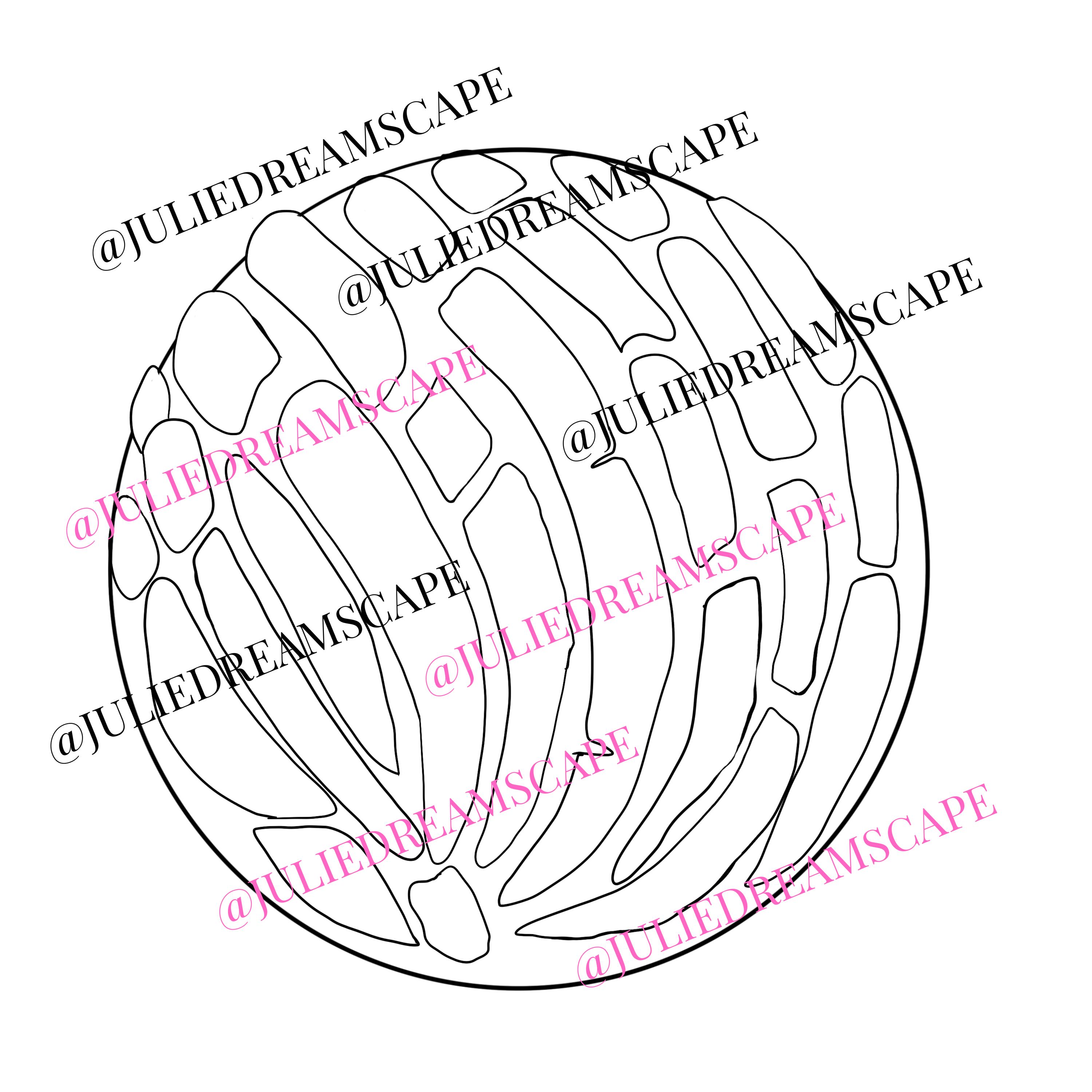 Original Concha Drawing Bundle SVG/PNG/JPEG - Etsy