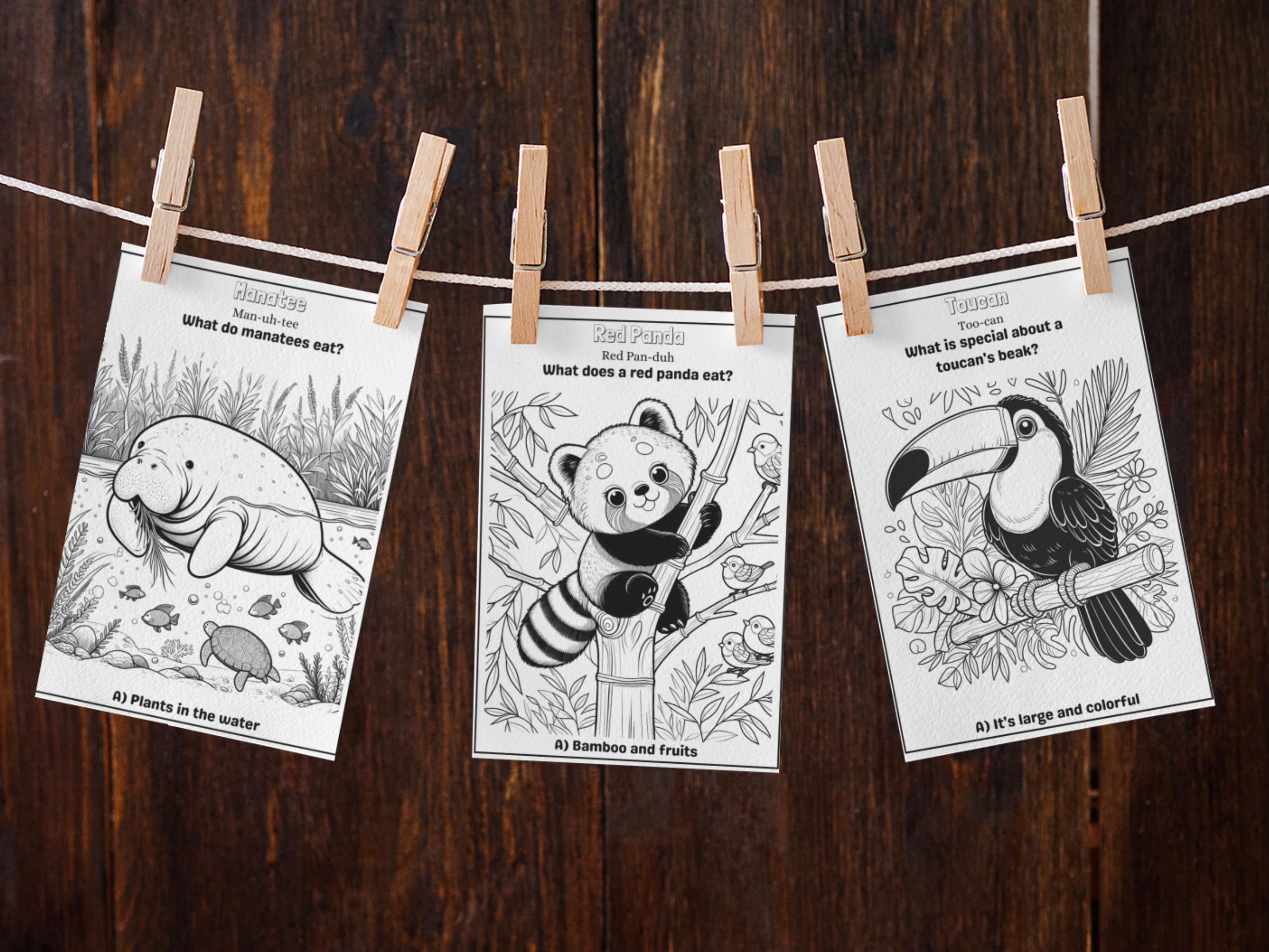 Personalized Animal Adventure Coloring Book | Lion, Koala, Monkey ...