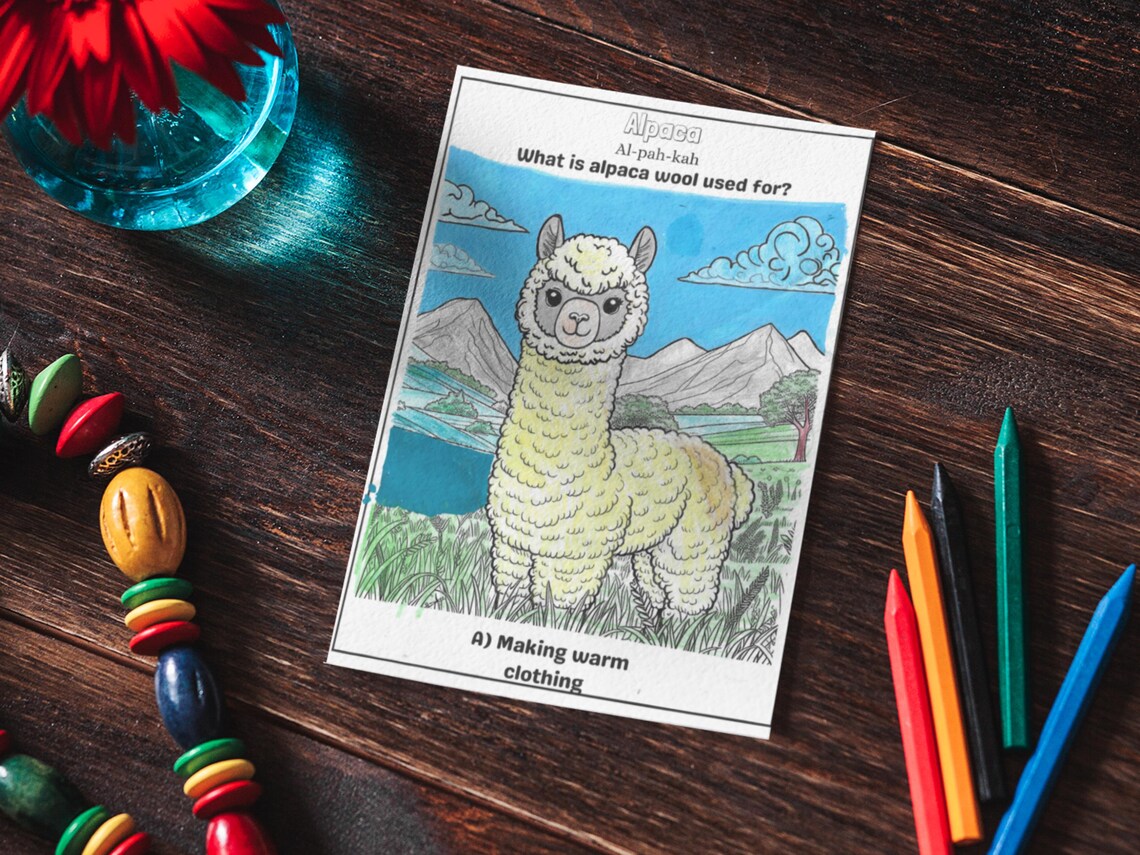 Personalized Animal Adventure Coloring Book | Lion, Koala, Monkey ...