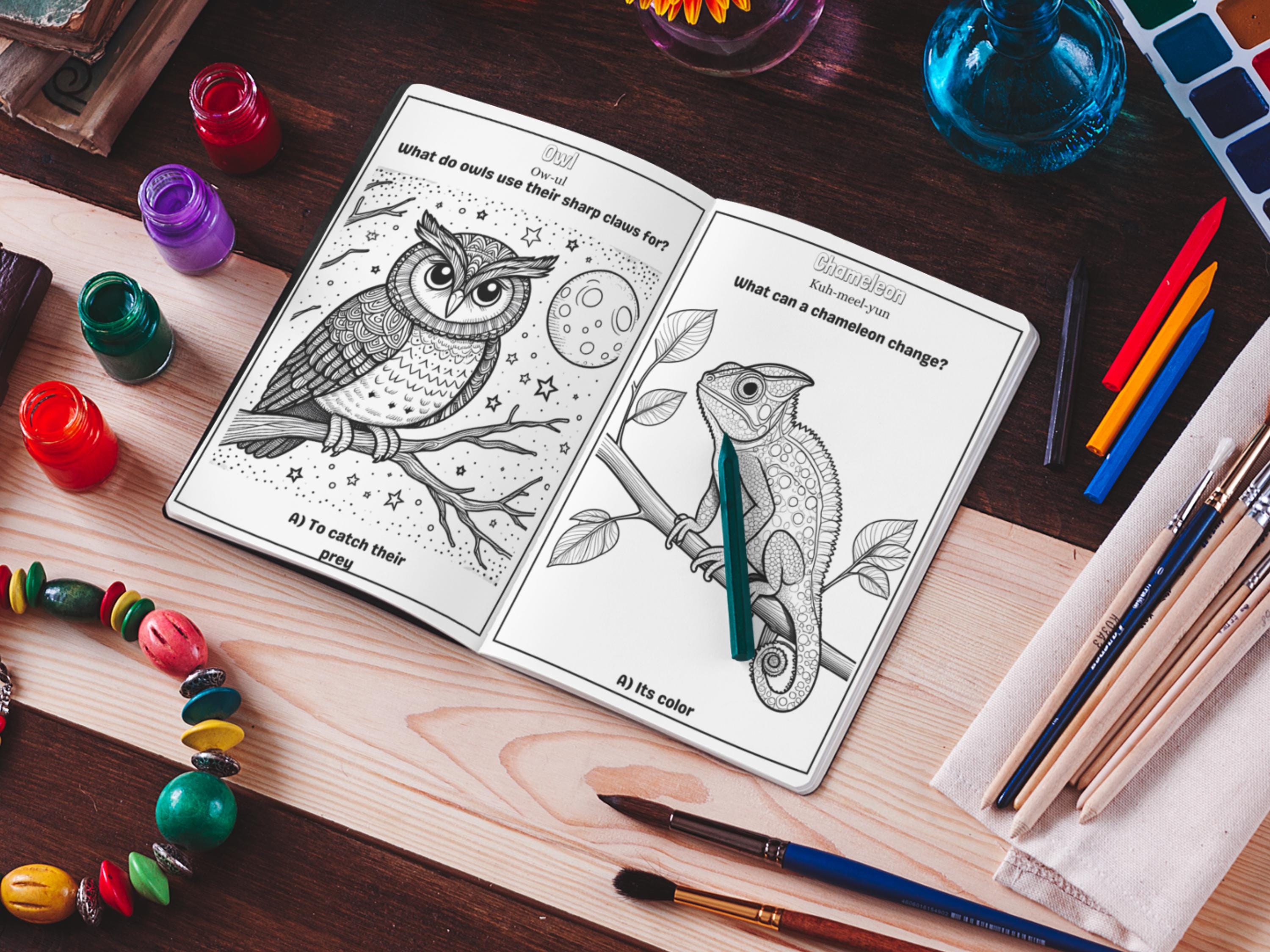 Personalized Animal Adventure Coloring Book | Lion, Koala, Monkey ...